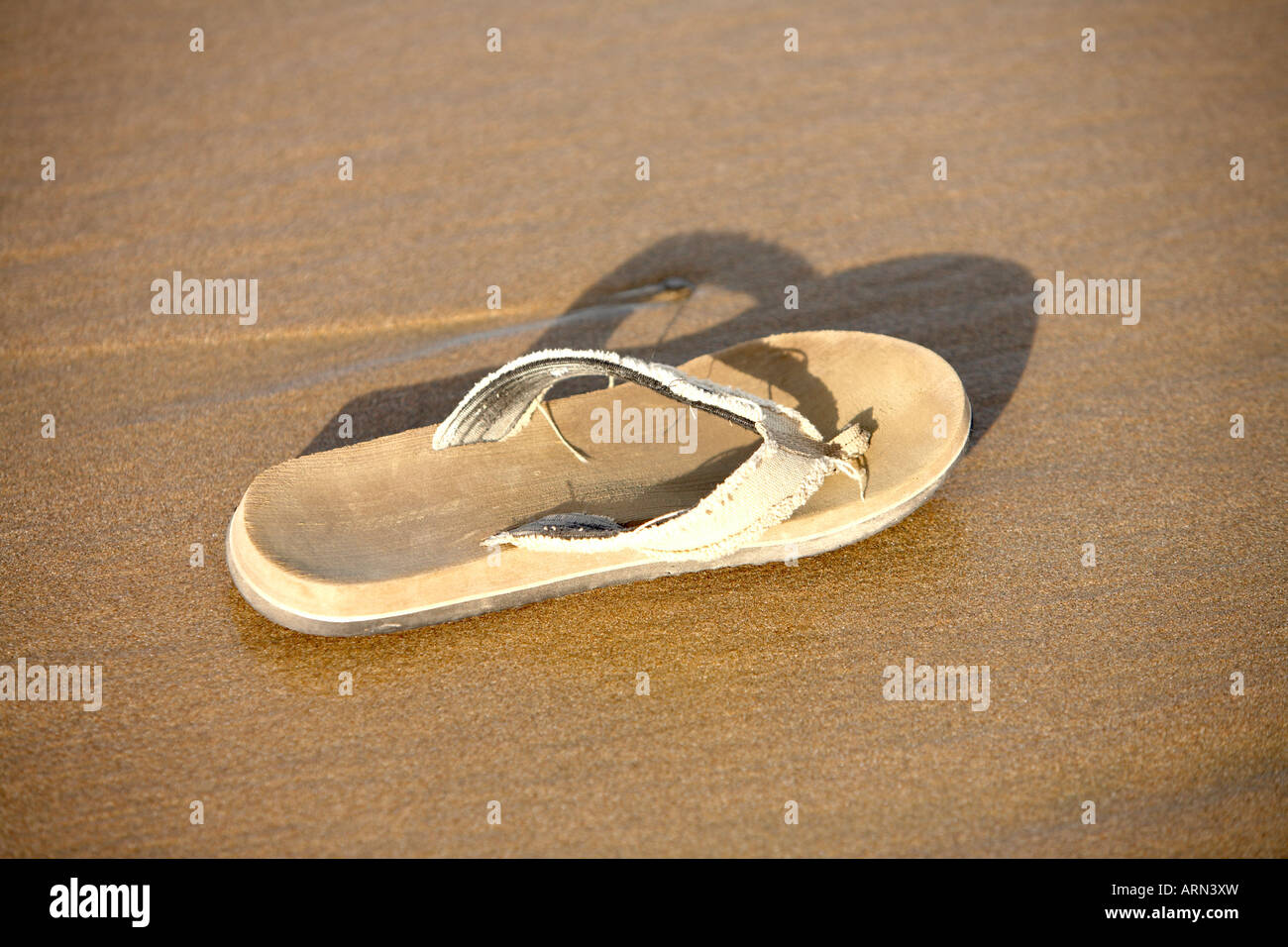 Single lost jandal on wet sand at the beach Stock Photo - Alamy