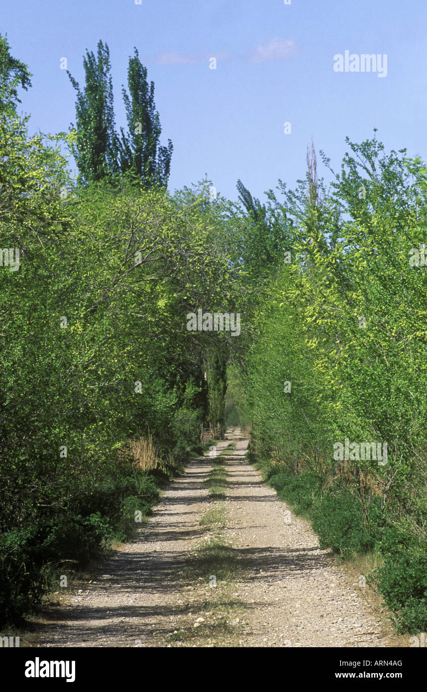 Country lane in south hi-res stock photography and images - Alamy