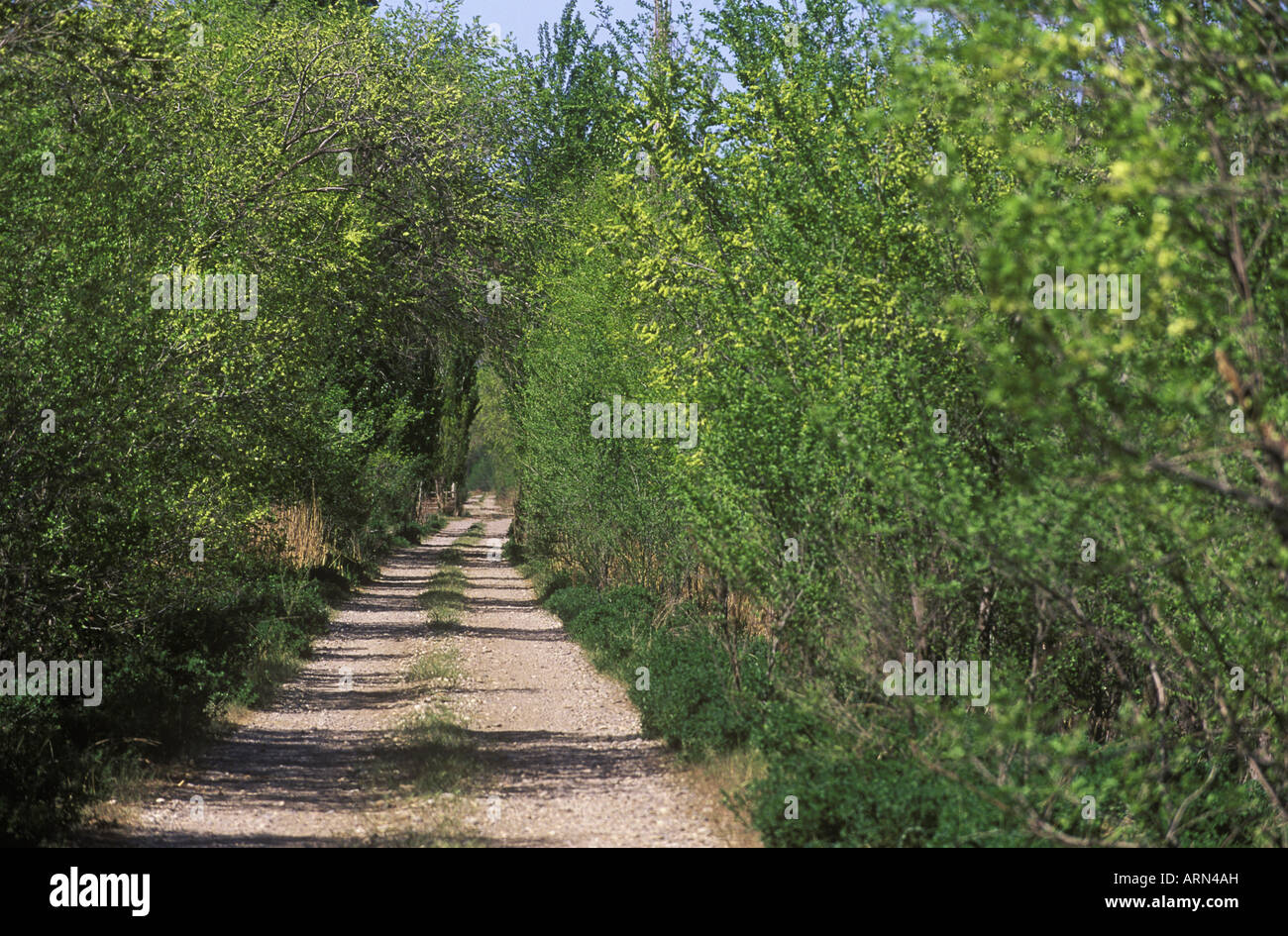 Country lane in the south Okanagan in spring at Osoyoos, British ...