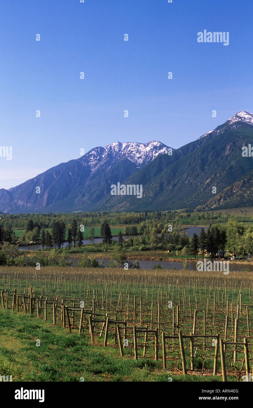 South okanagan valley hi-res stock photography and images - Alamy