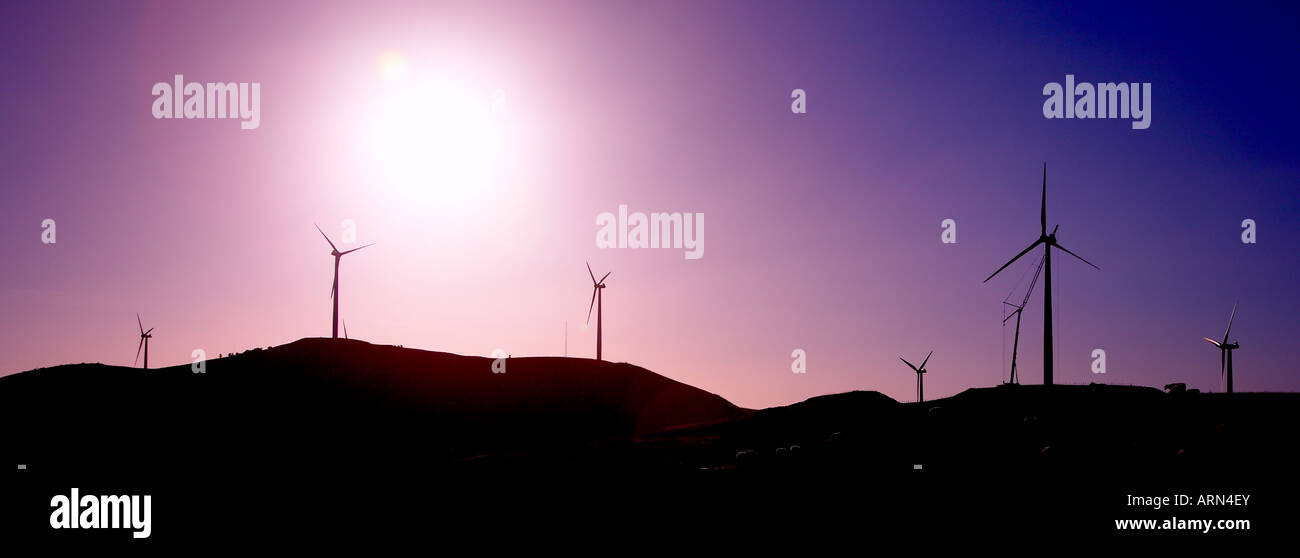 electricity wind farm turbines on hilltop at te apiti Manawatu near ...