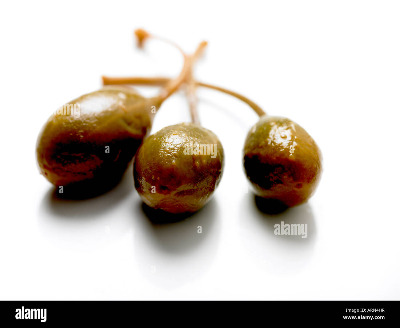 caper berries from plant Capparis spinosa on white background Stock ...