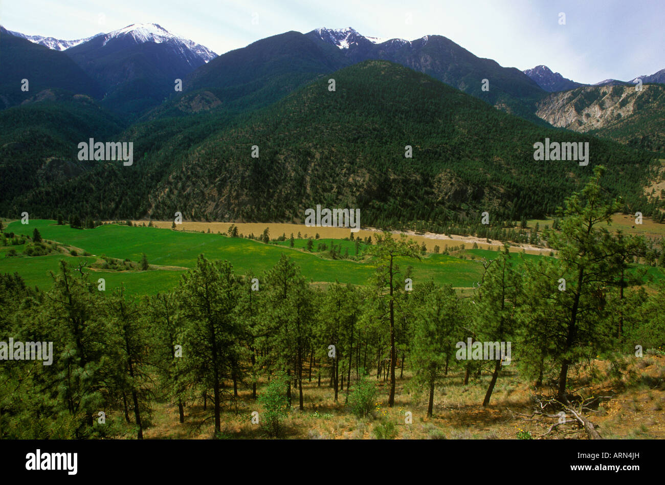 Benchland farm along Fraser river between Lytton and Liilooet, British ...