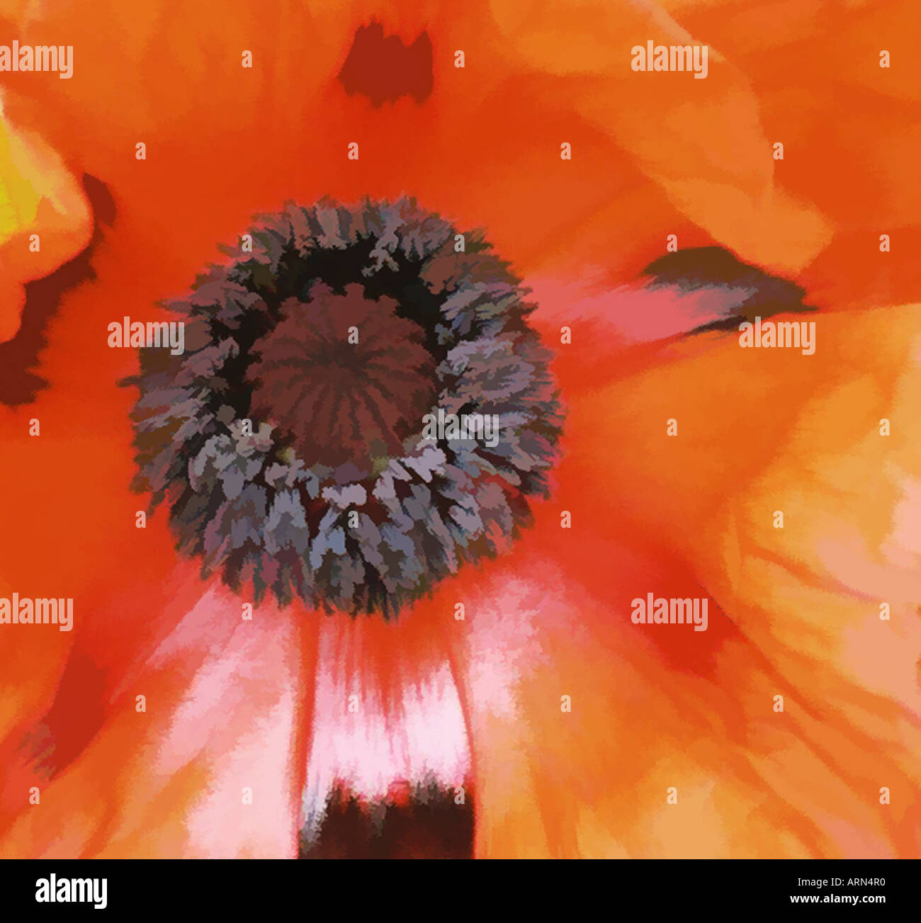 Stylised image hi-res stock photography and images - Alamy