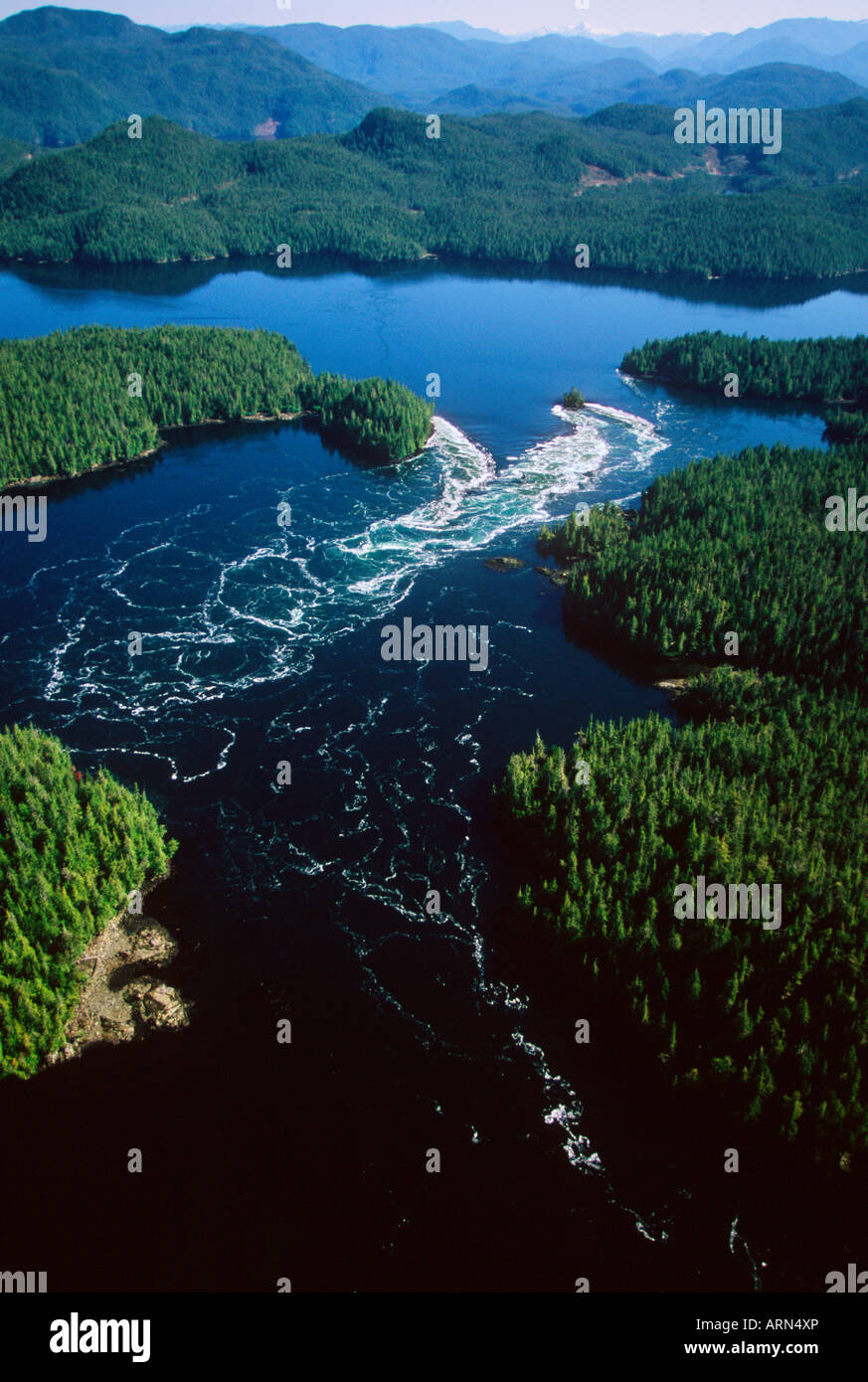 Aerial of Nakwakto Rapids amd trembling rock, world's fastest tidal ...