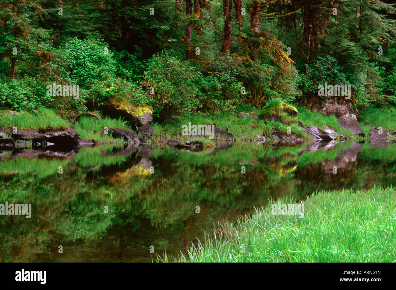 Pooley hi-res stock photography and images - Alamy