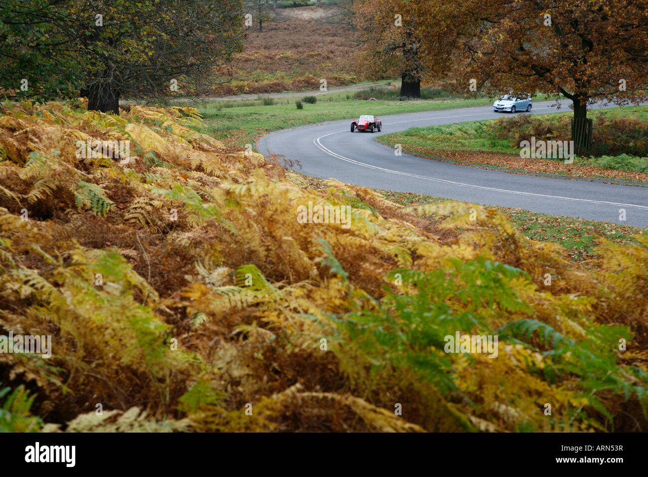 Broomfield Hill in Richmond Park, London Stock Photo - Alamy