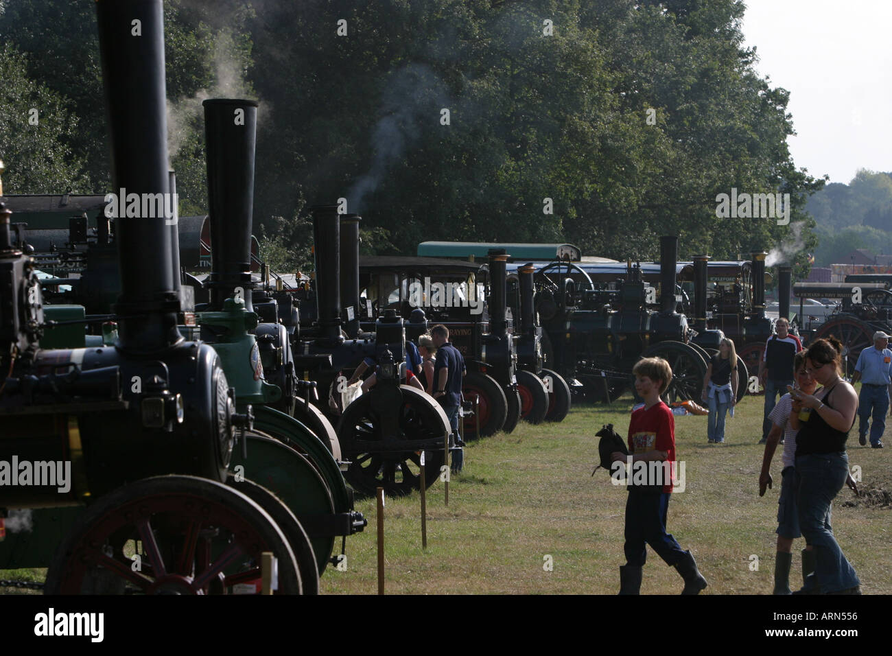 Steam Engine Rally with traction engines lined up for review Stock ...
