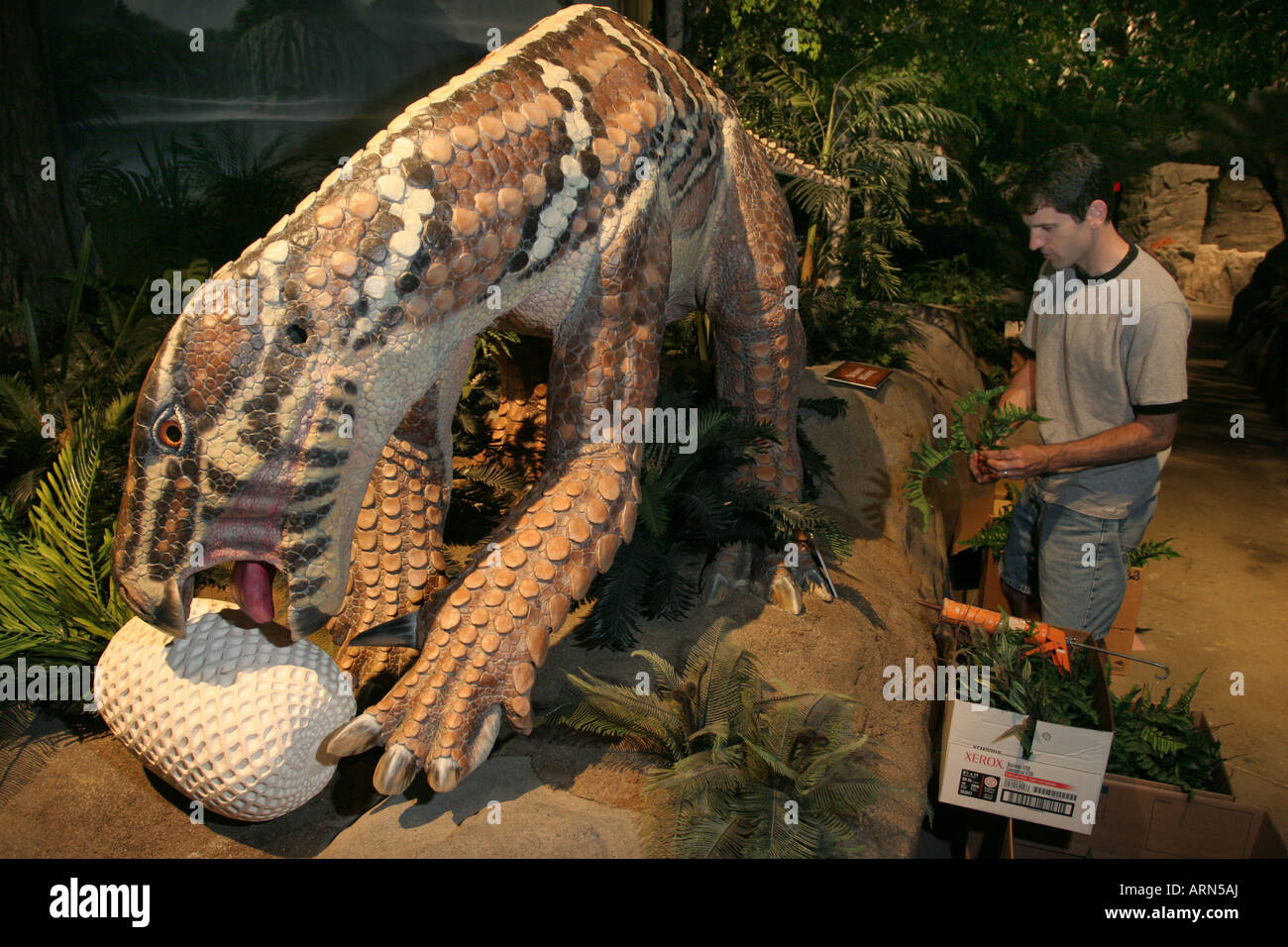 Creation Museum Pictures Of Inside