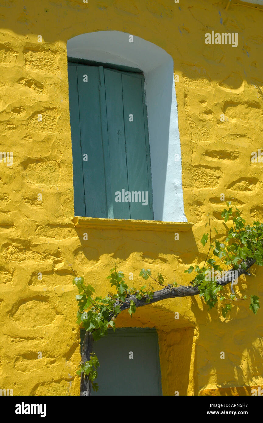 yellow exterior of a village house in Asomatos Lesvos Greece with vine ...
