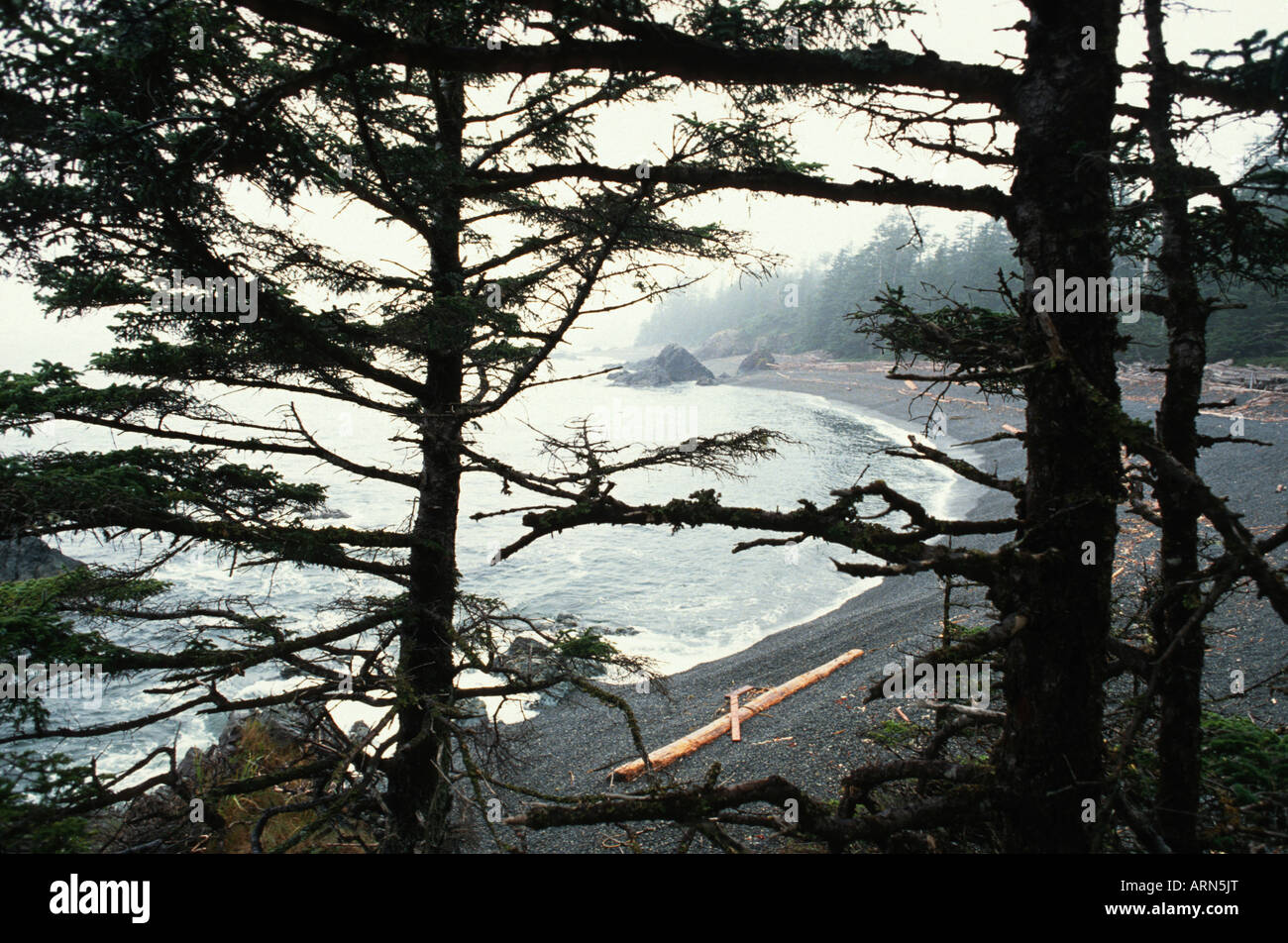 Green point Beach from campground, Pacific Rim National Park, Vancouver ...