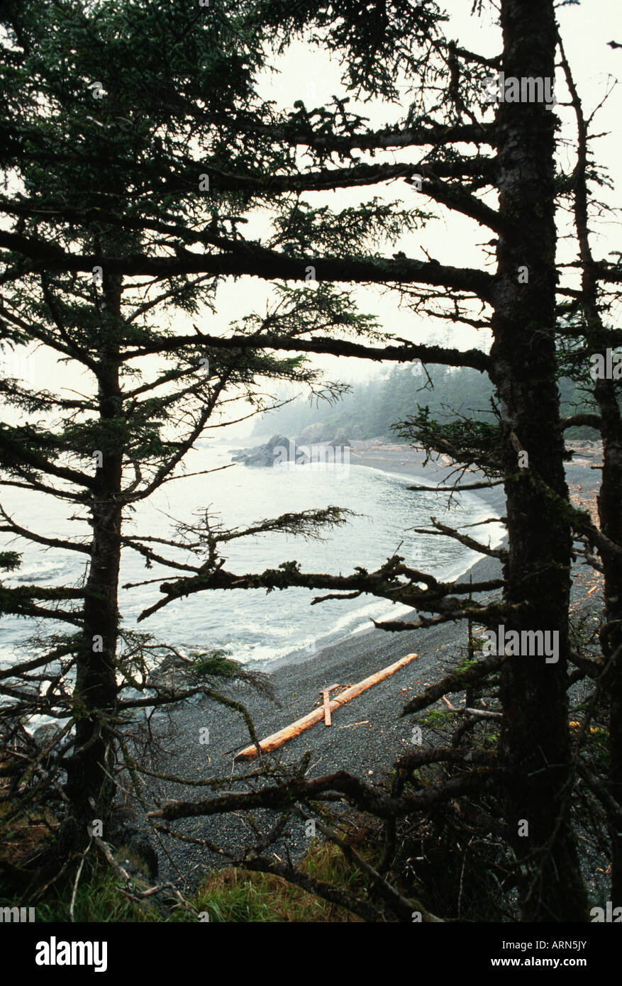Green point Beach from campground, Pacific Rim National Park, Vancouver ...