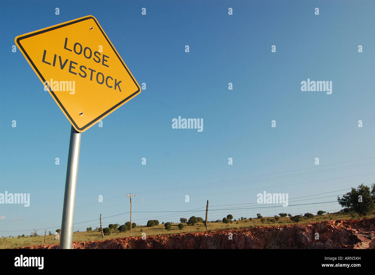Loose livestock sign hi-res stock photography and images - Alamy