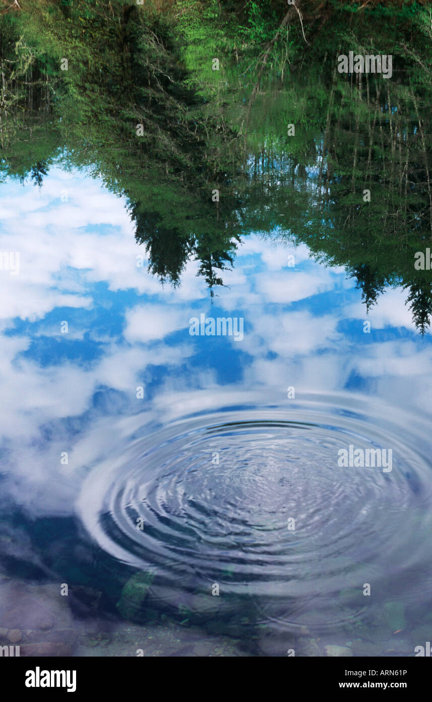 Still in water hi-res stock photography and images - Alamy