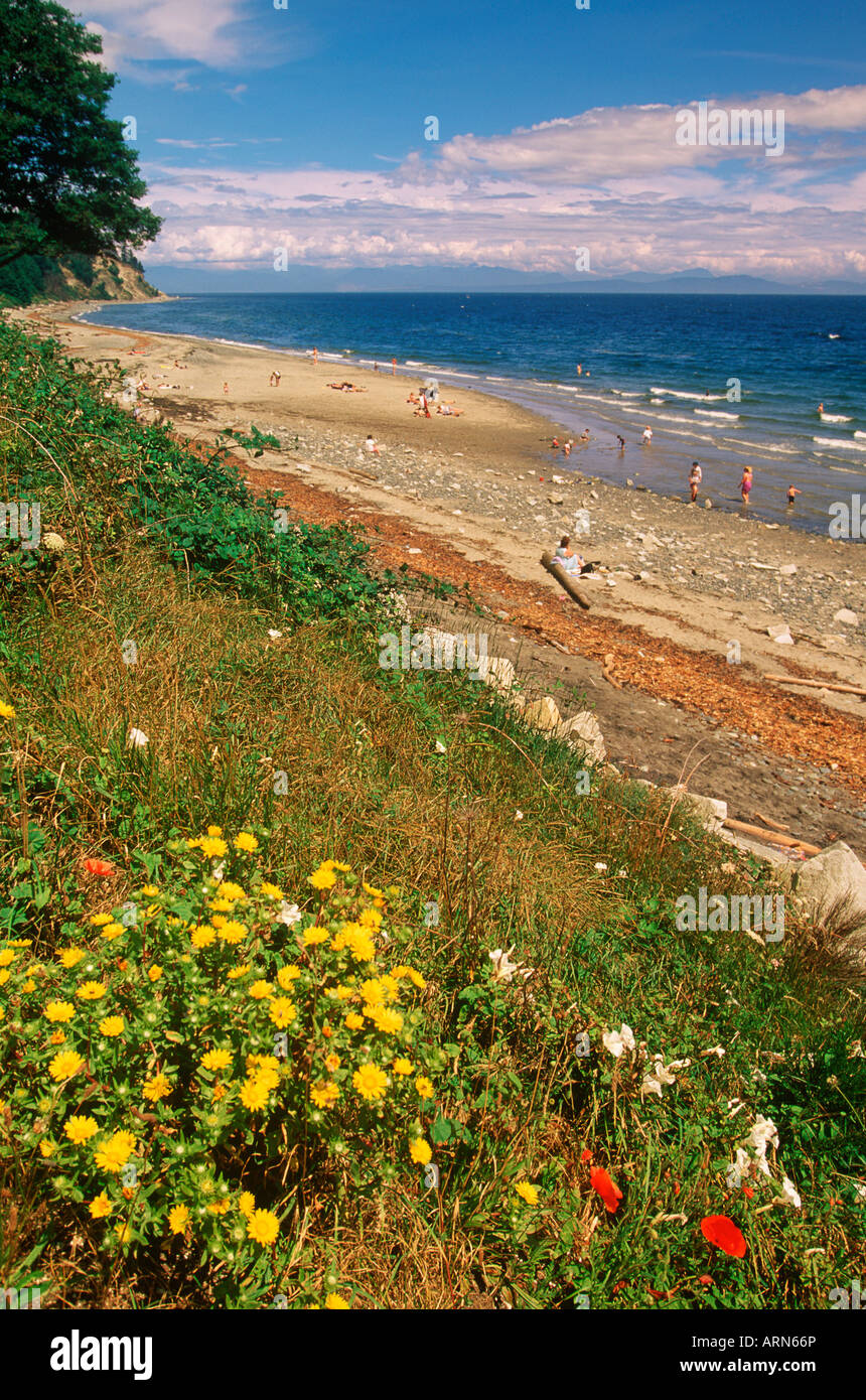 Rose spit from poppy covered hillside, Comox, Vancouver Island, British ...