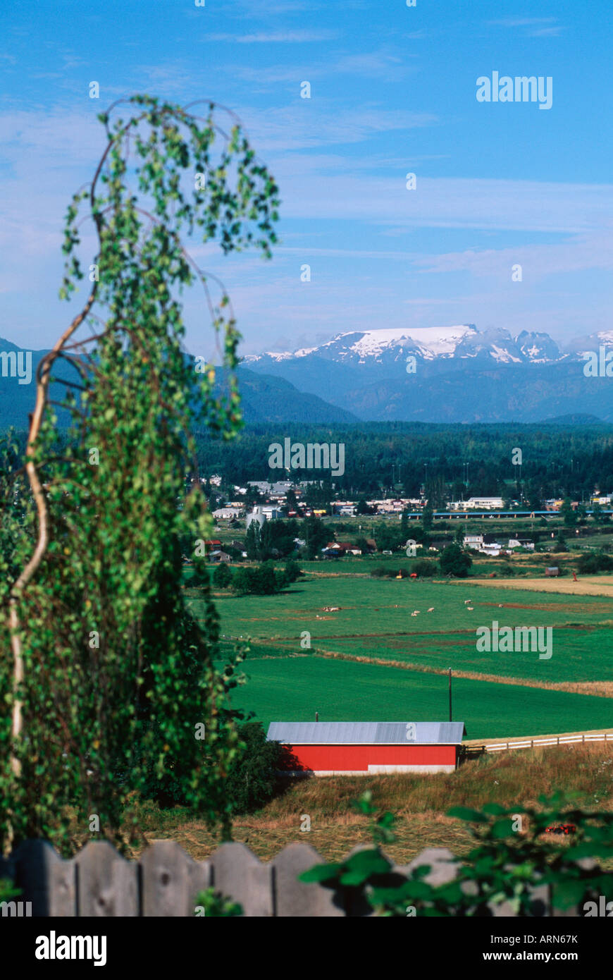 The comox glacier hi-res stock photography and images - Alamy