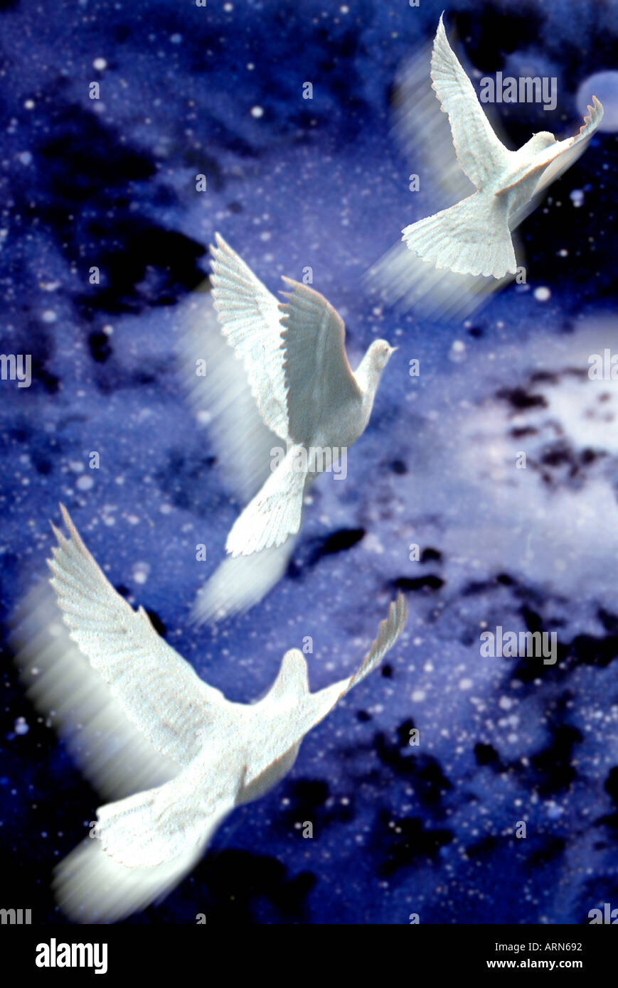 Symbolic doves hi-res stock photography and images - Alamy Symbolic doves hi-res stock photography and images - Alamy