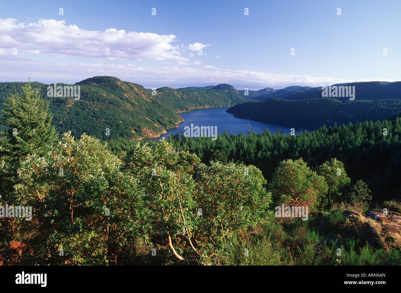view of Finlayson Arm from top of Malahat Drive, Vancouver Island ...