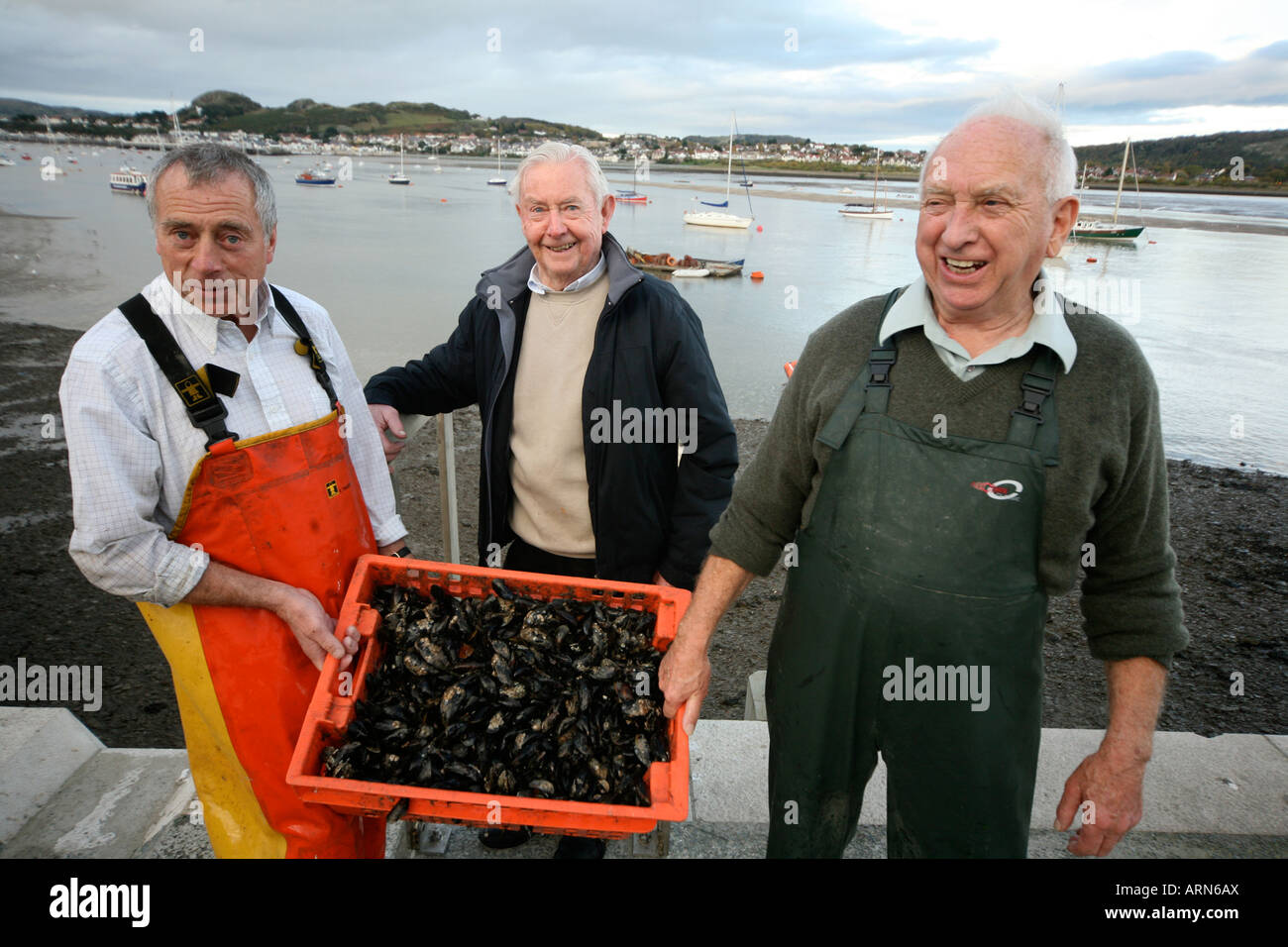 Conwy Feast Conwy Food and Drink Festival Stock Photo - Alamy