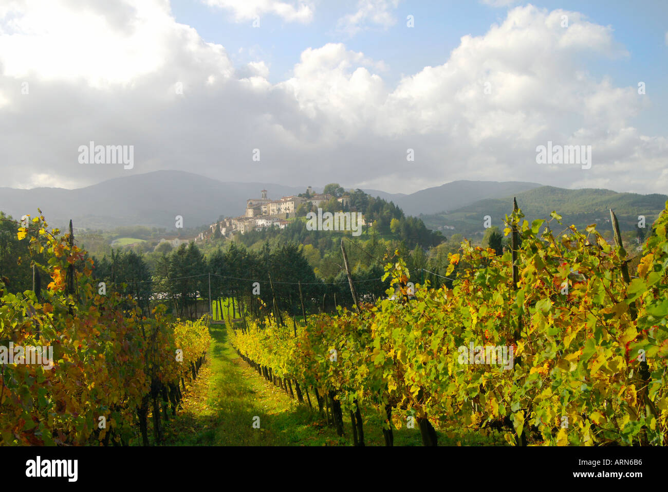 The renaissance town of Monterchi Tuscany in Italy blue sky above the ...