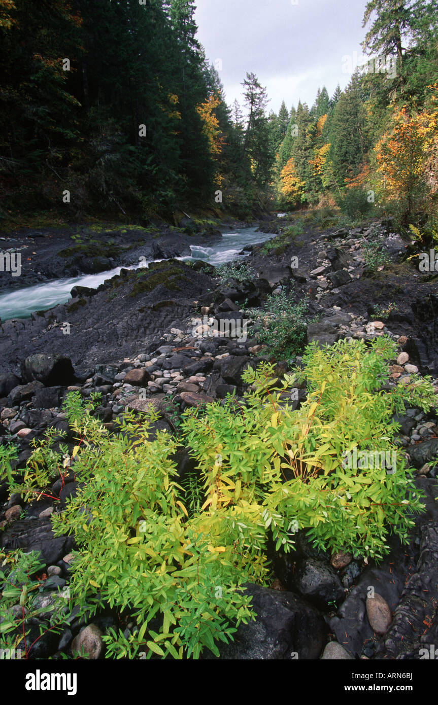 Cowichan River, Marie Canyon, Vancouver Island, British Columbia ...