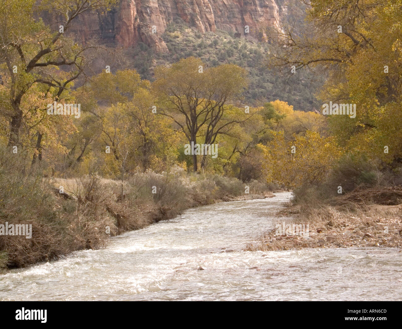 Fall colors of Zion National Park Stock Photo - Alamy