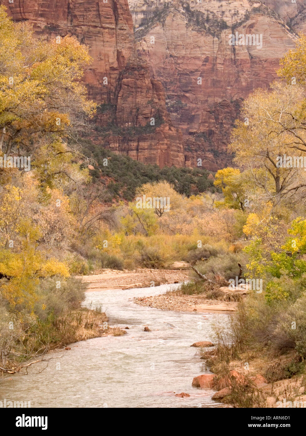 Fall colors of Zion National Park Stock Photo - Alamy