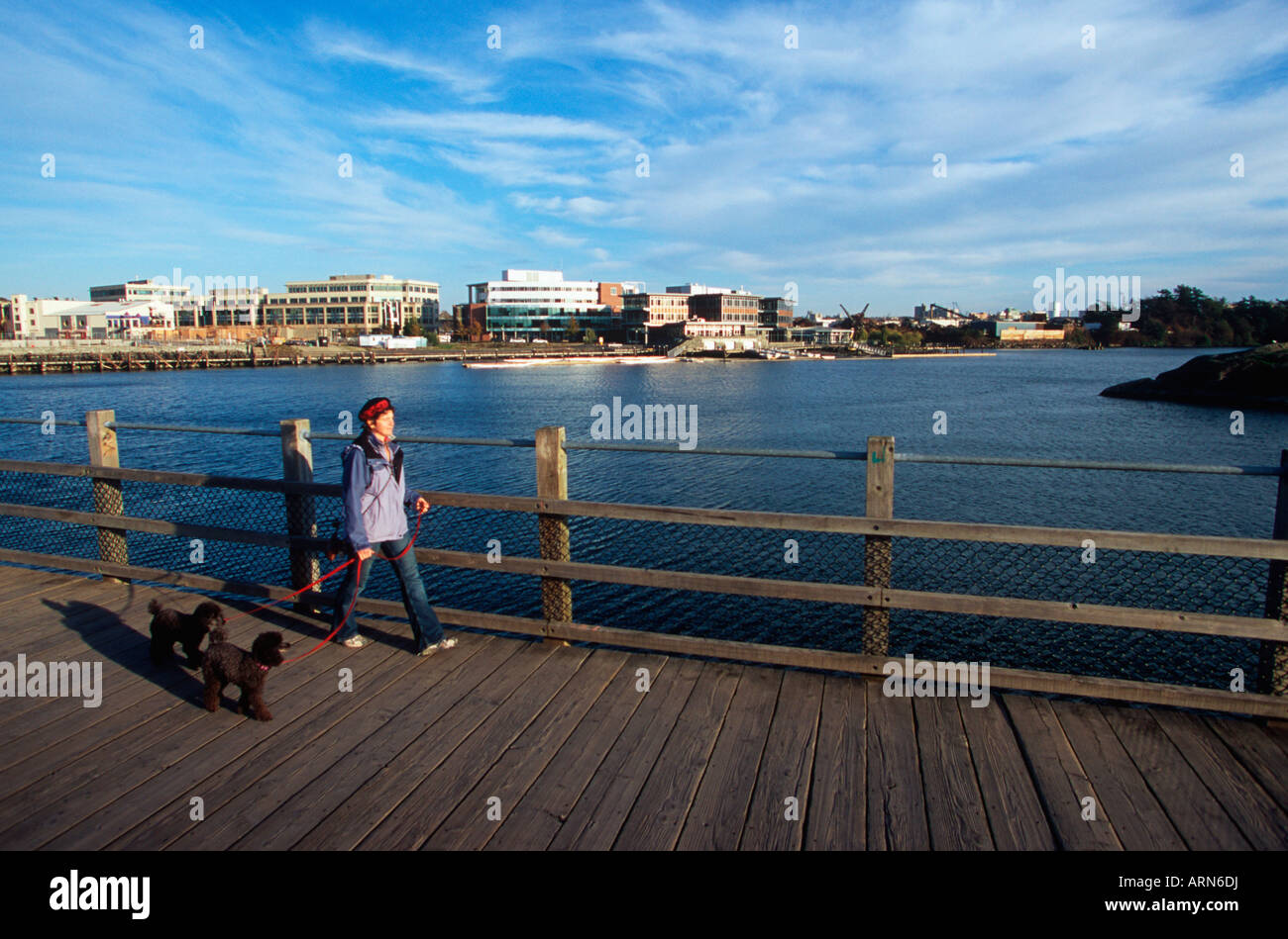Woman walks dogs on the Selkirk Water Way, Victoria, Vancouver Island ...