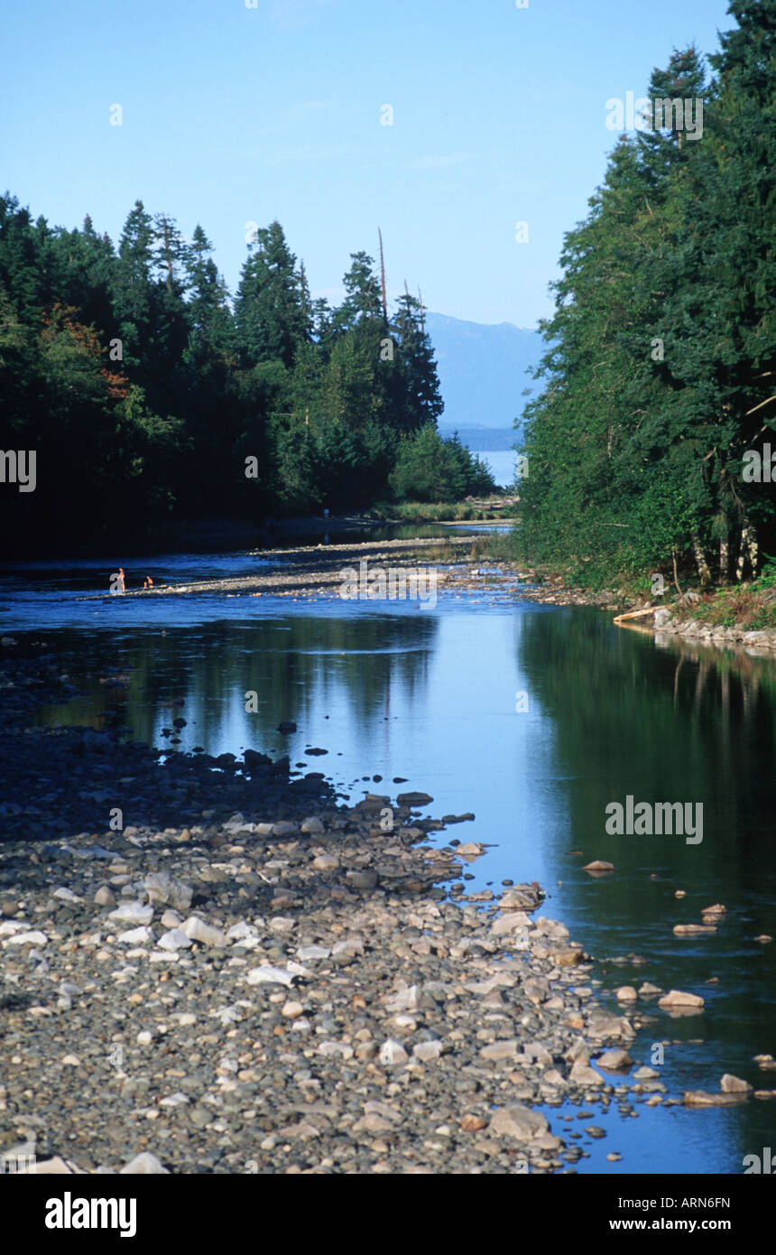 Oyster River above estuary; near Campbell River, Vancouver Island ... Oyster River above estuary; near Campbell River, Vancouver Island ...