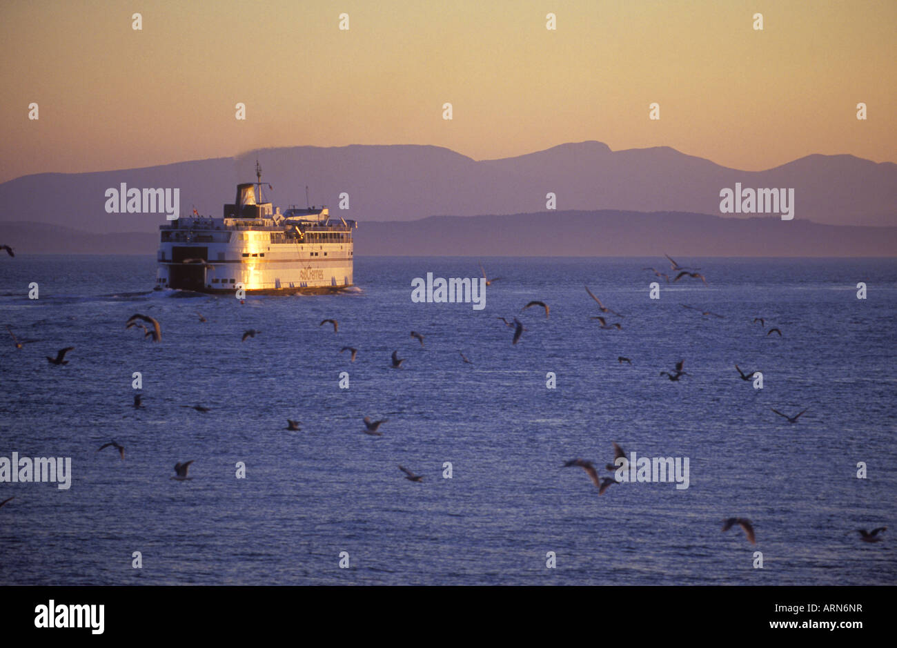 Spirit class vessel on Swartz Bay Tsawwassen route, British Columbia ...