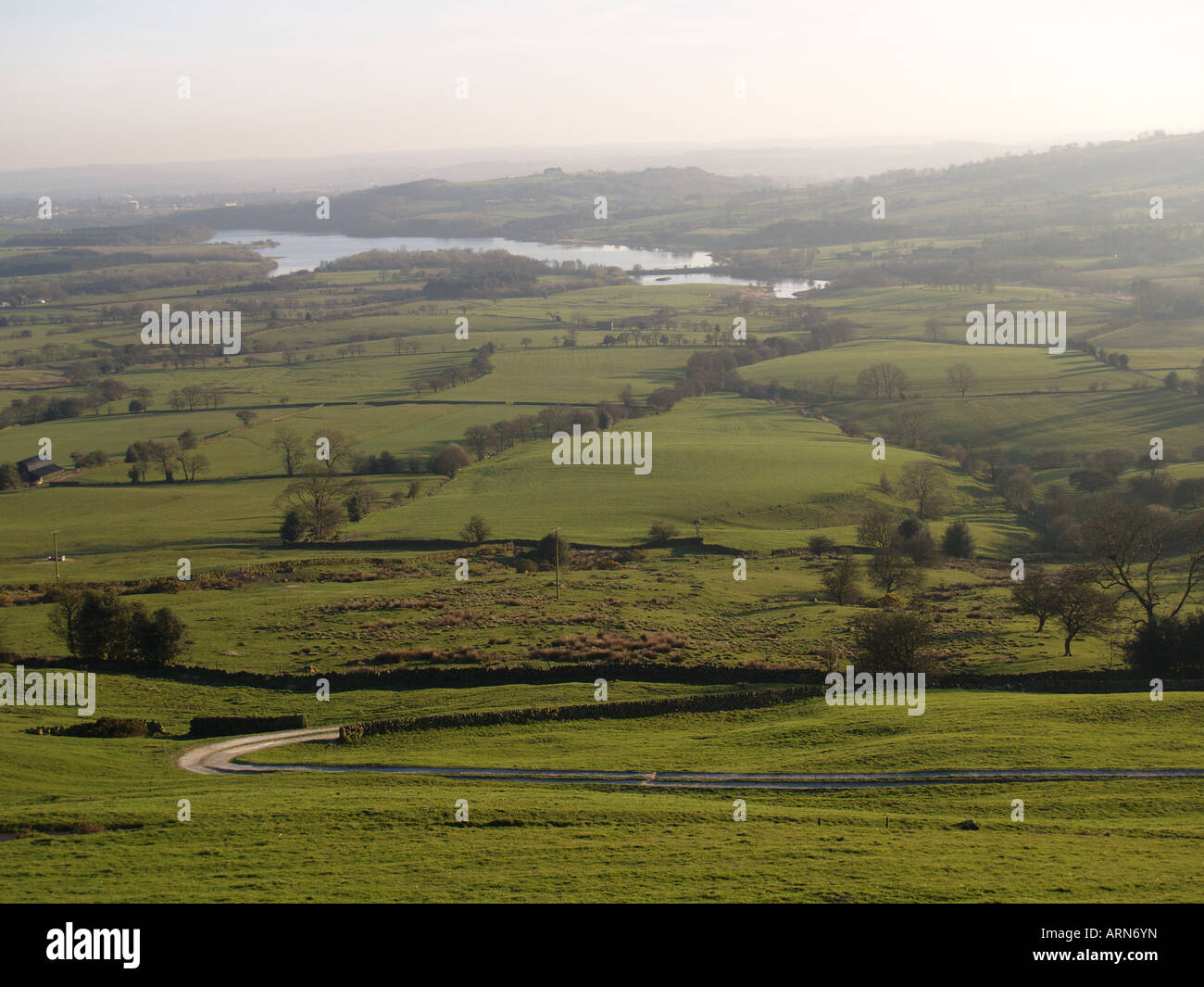 grass country fields hedges hill green trees Stock Photo - Alamy