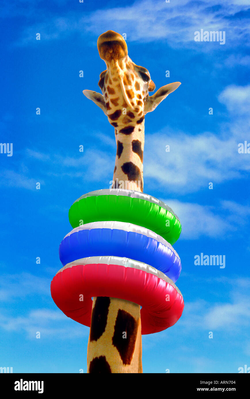 Colorful Inner Tubes