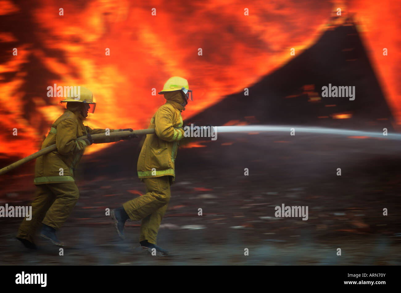 Firefighters with hose move through fire scene to spray flames, Motion ...