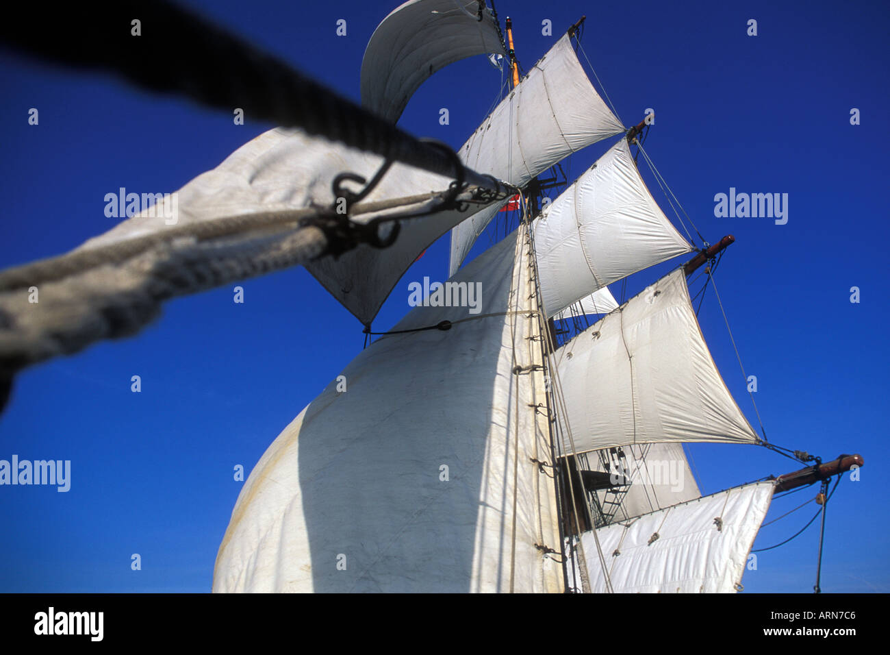 Square sails and jibs of square rigger Kaskelot against blue sky Stock ...