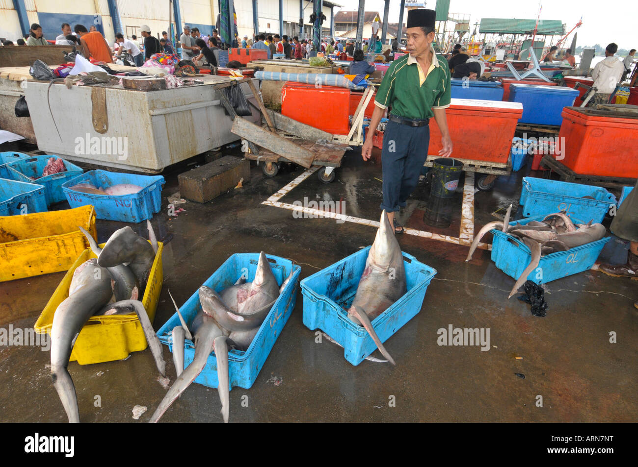 Fish or Wet Market in Kota Kinabulu capital of Sabah Northern Borneo ...