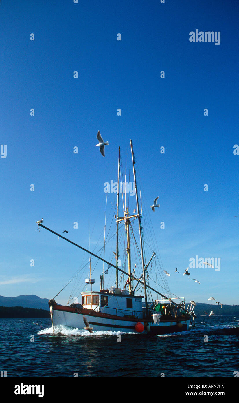 Shrimp side trawl hi-res stock photography and images - Alamy