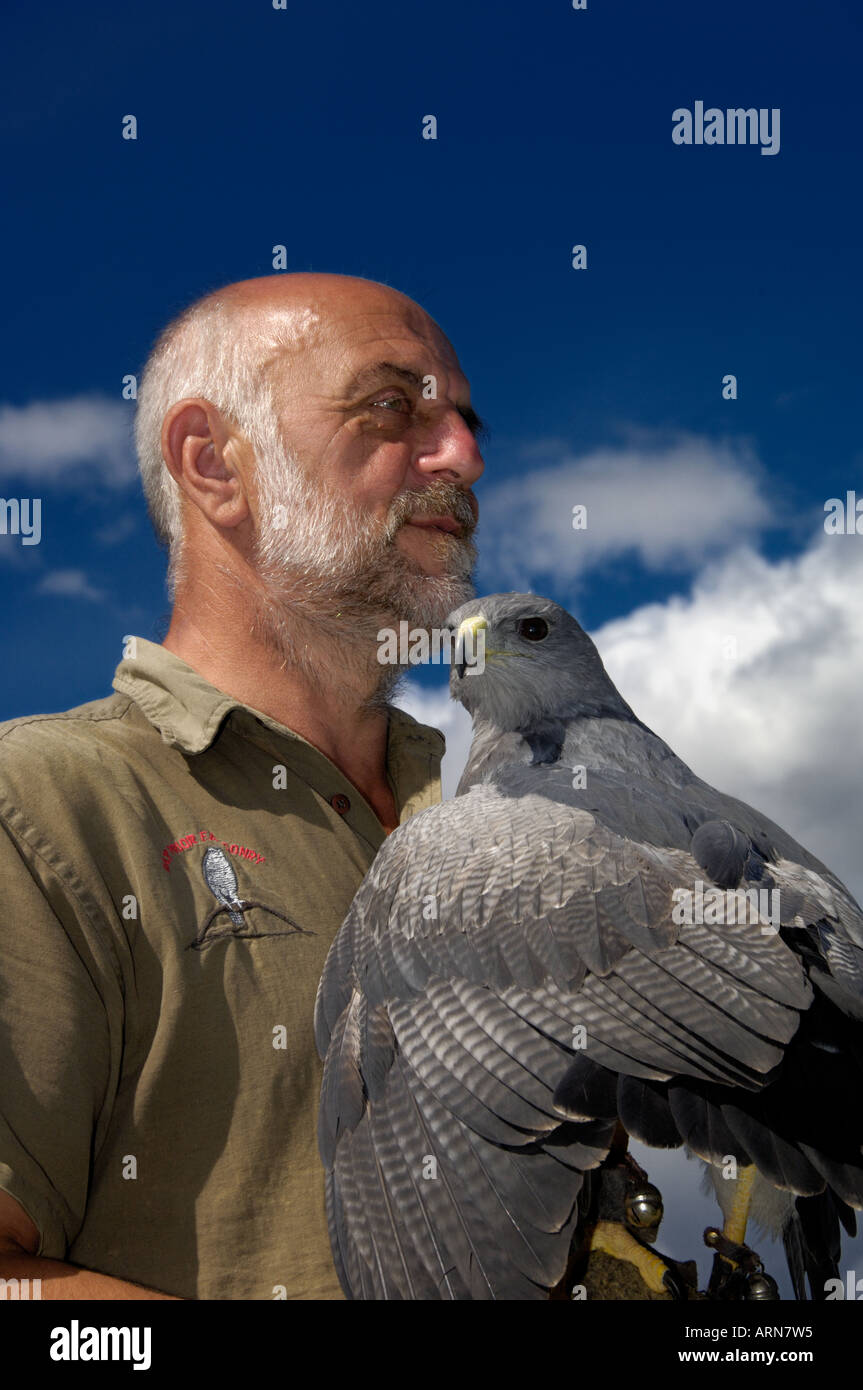 Eagle on wrist hi-res stock photography and images - Alamy