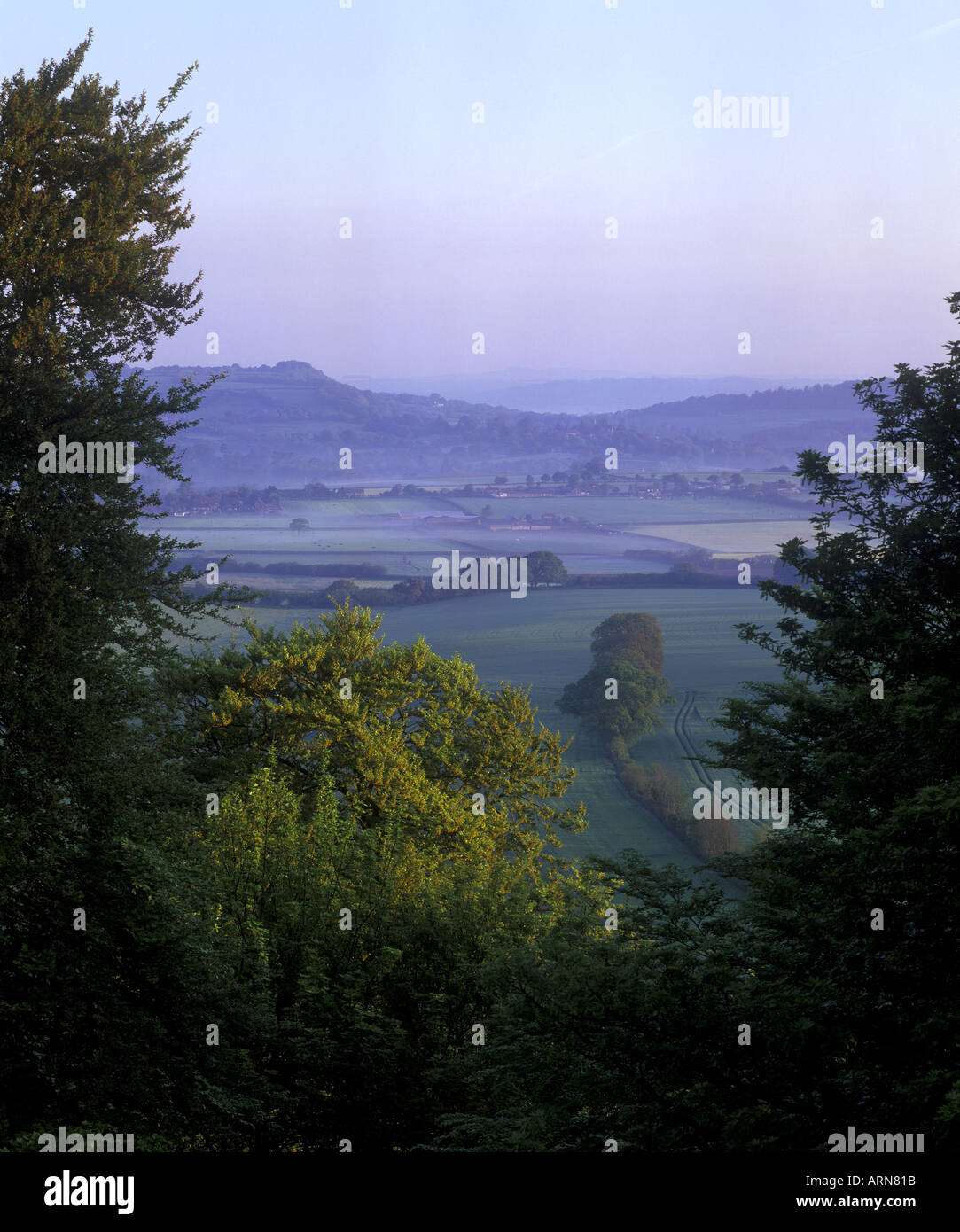 Win green dorset hi-res stock photography and images - Alamy