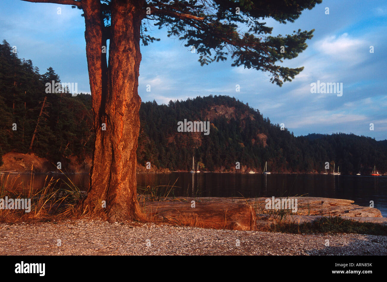 Pender island hi-res stock photography and images - Alamy