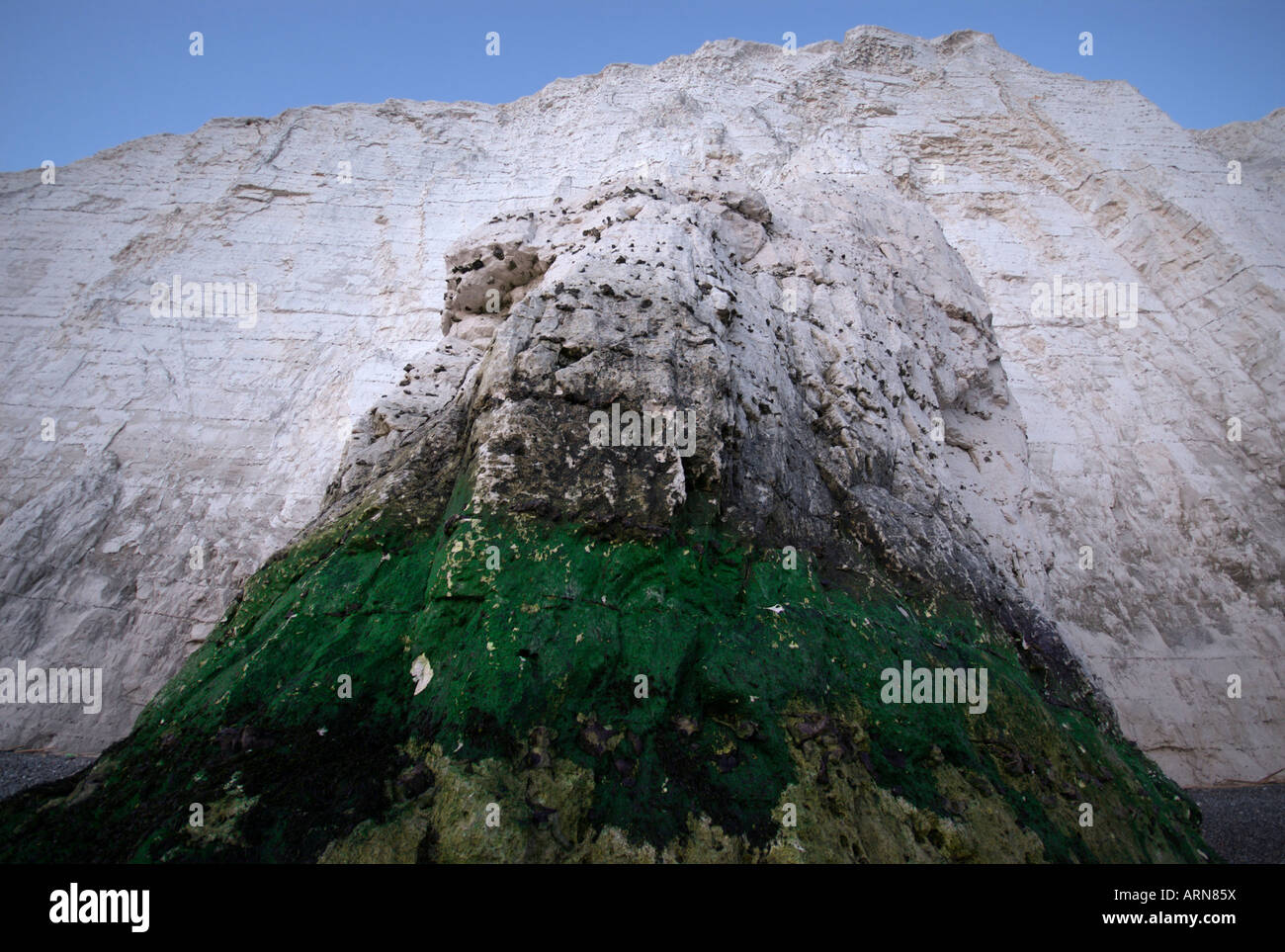 Green water tide mark hi-res stock photography and images - Alamy