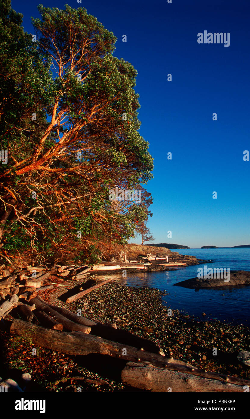 Russell Island , Gulf Islands National Park, near Saltspring, British ...