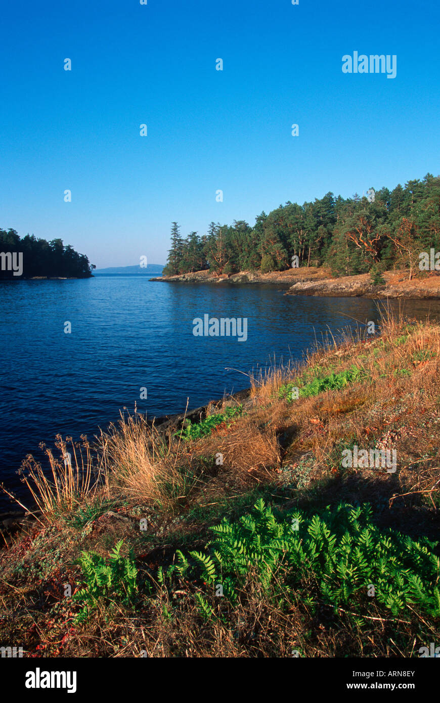 Gulf islands national park canada hi-res stock photography and images ...