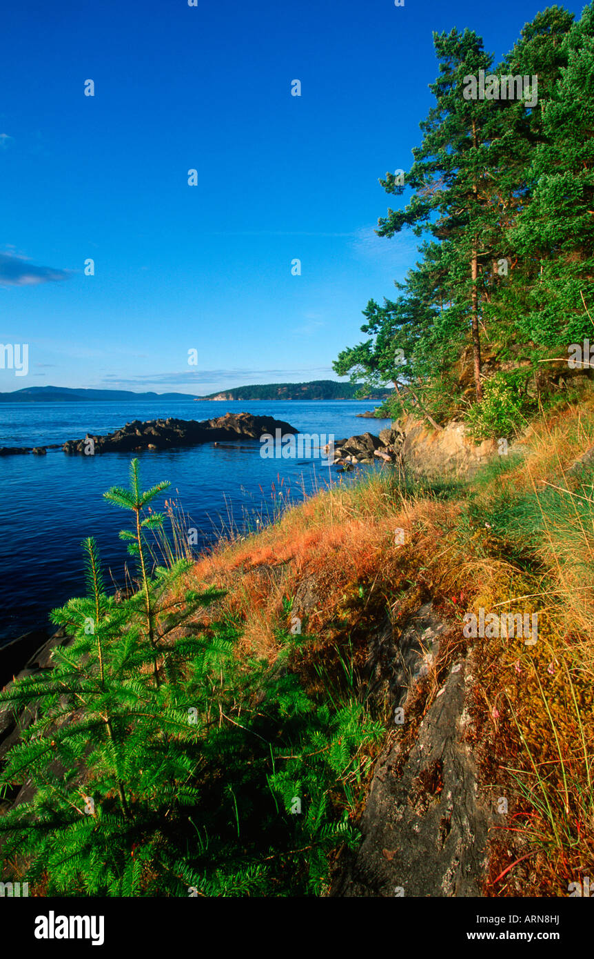 Gulf Islands, Isle de Lis (Rum Island) Marine Park, British Columbia ...