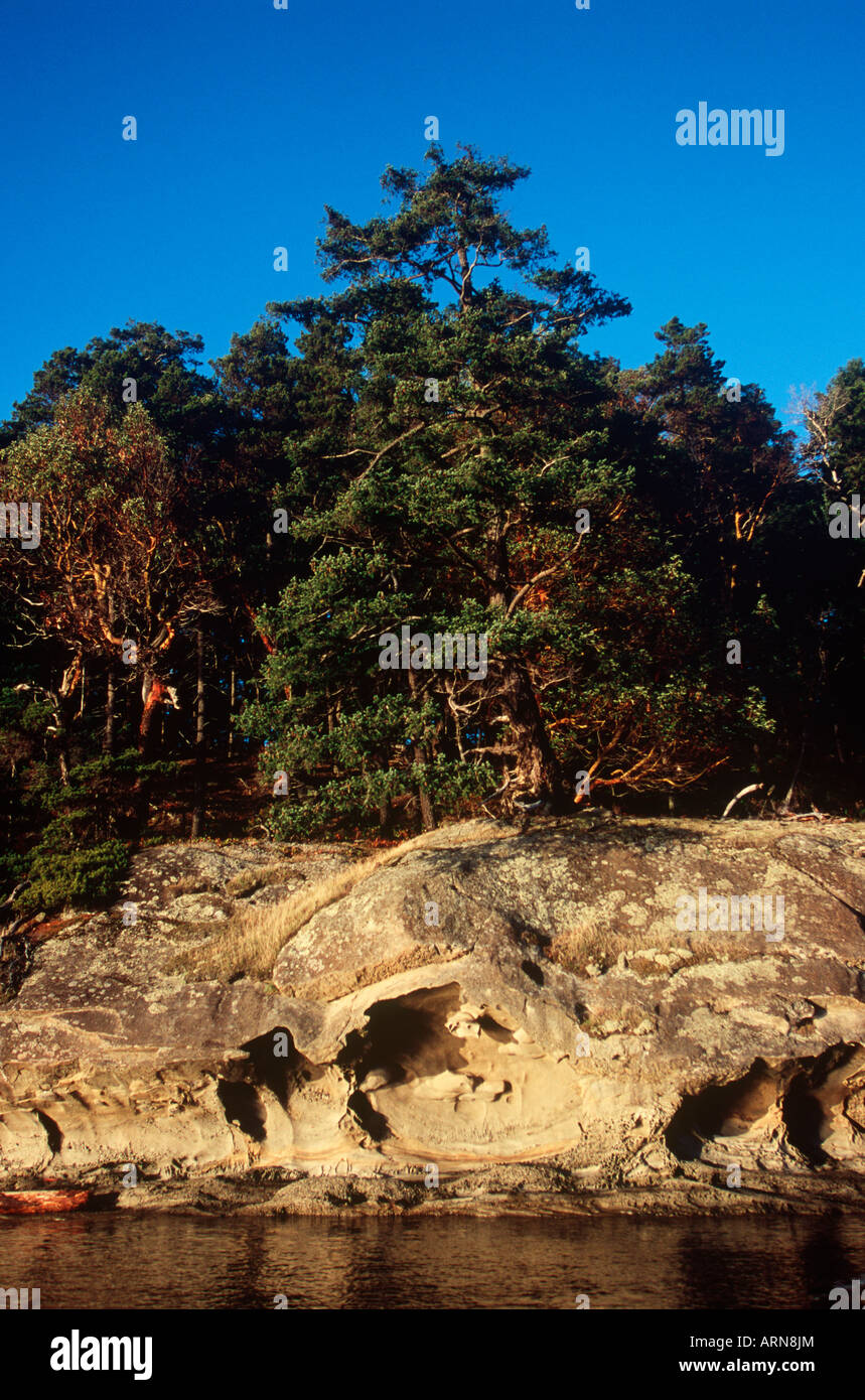 Gulf Islands, Tumbo Island sandstone shoreline formations, British ...