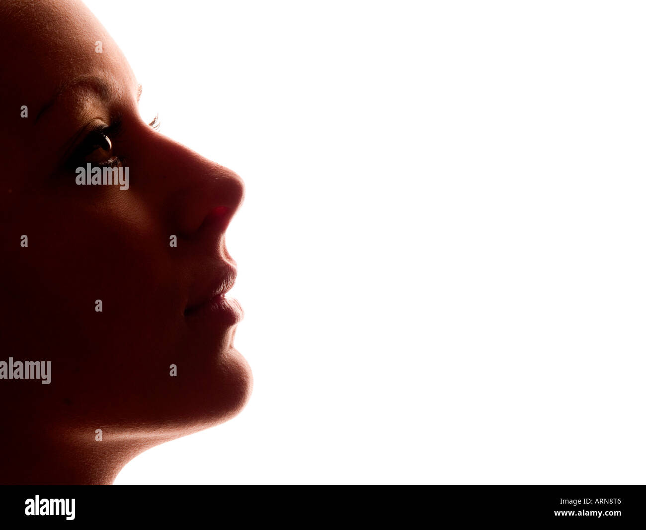 Face of a young woman in backlight Stock Photo - Alamy