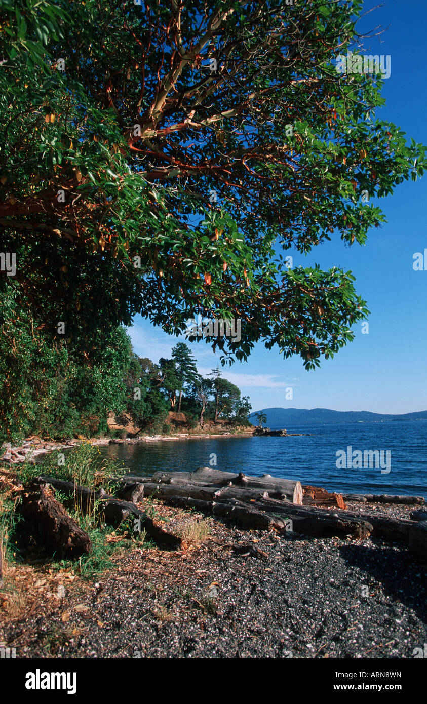 Western strait hi-res stock photography and images - Alamy