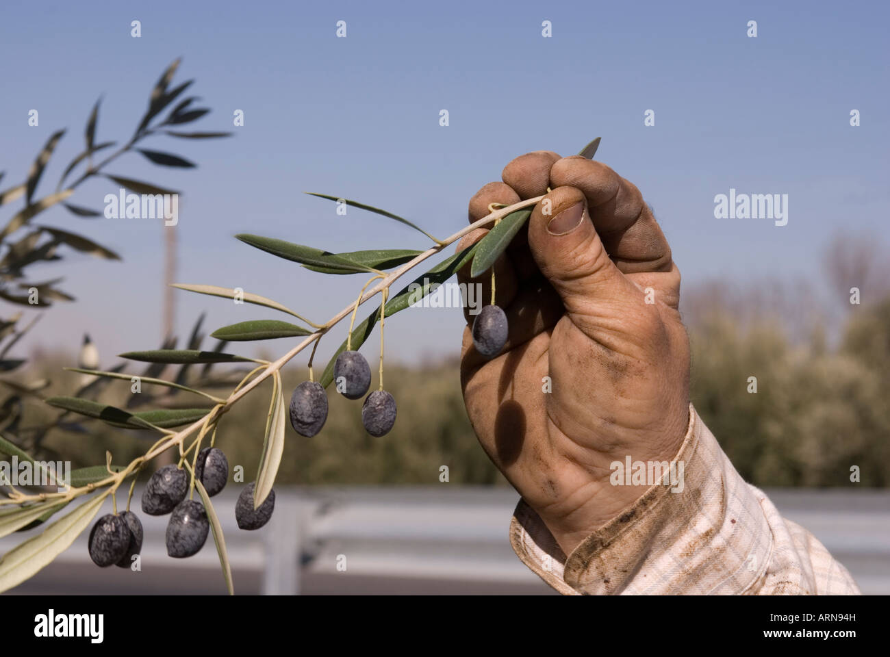 Branch workers hi-res stock photography and images - Alamy