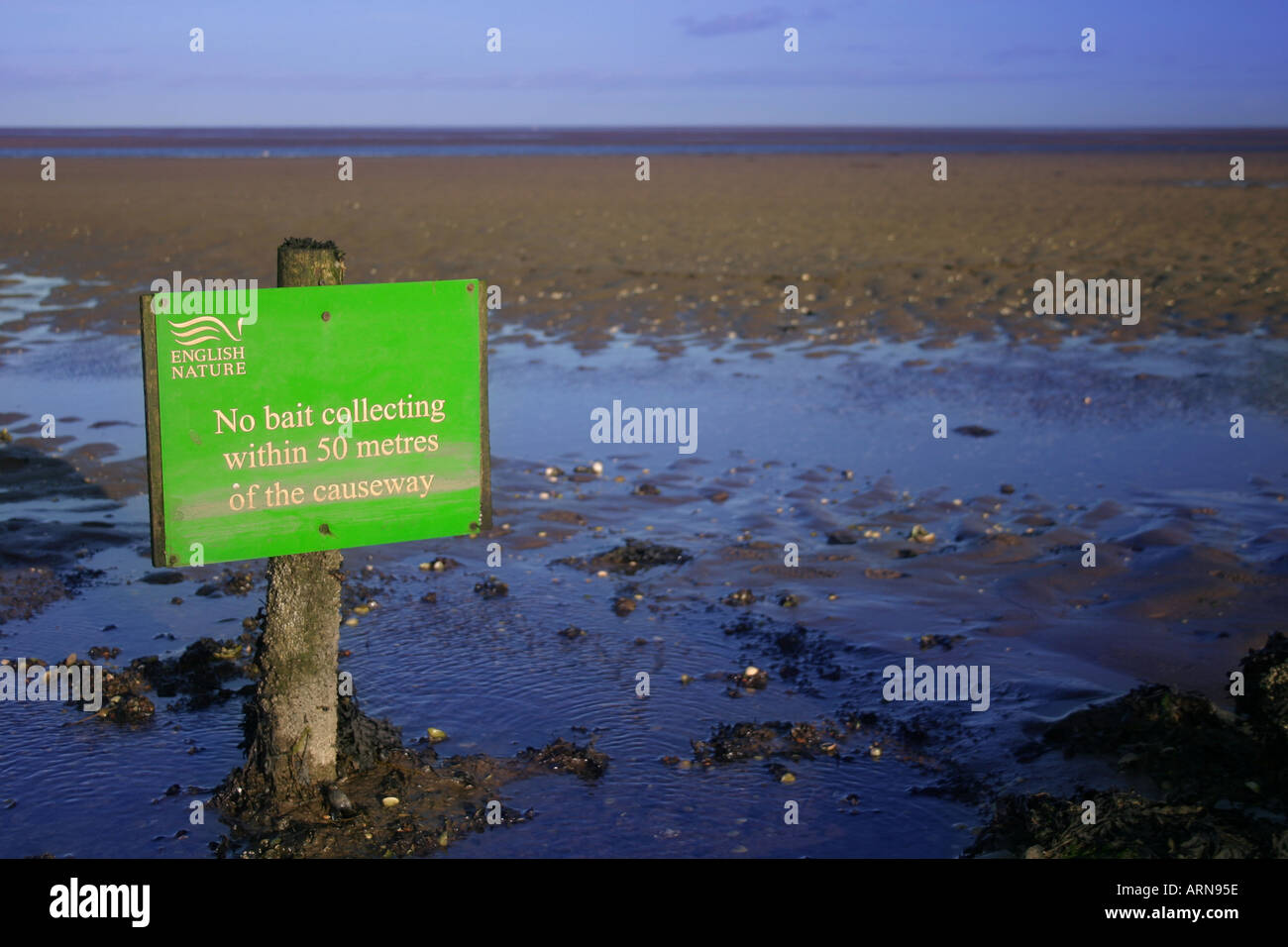 No Bait Collecting warning sign by the causeway entrance of Holy Island ...