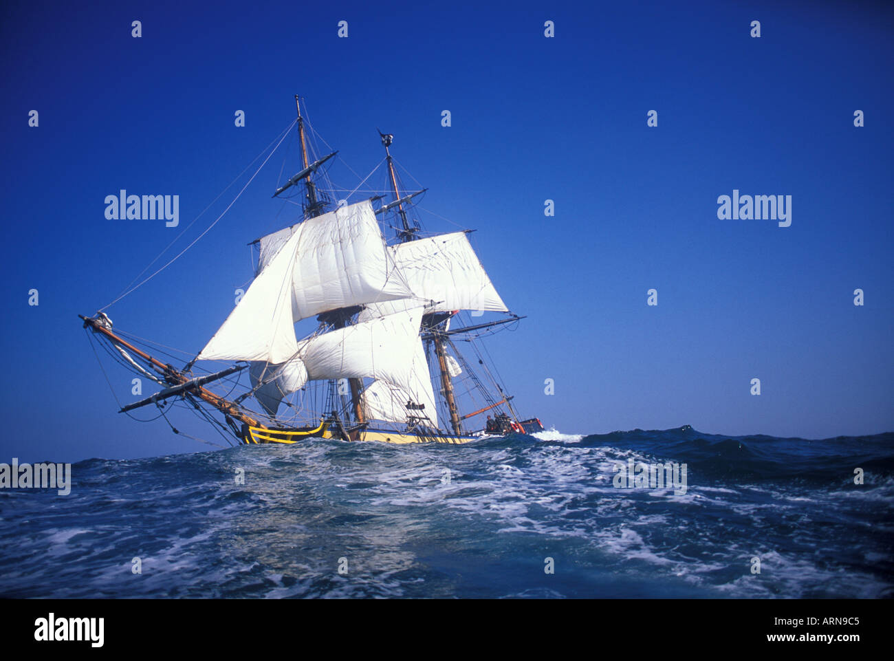 Tall ship Phoenix hull down under sail Stock Photo - Alamy