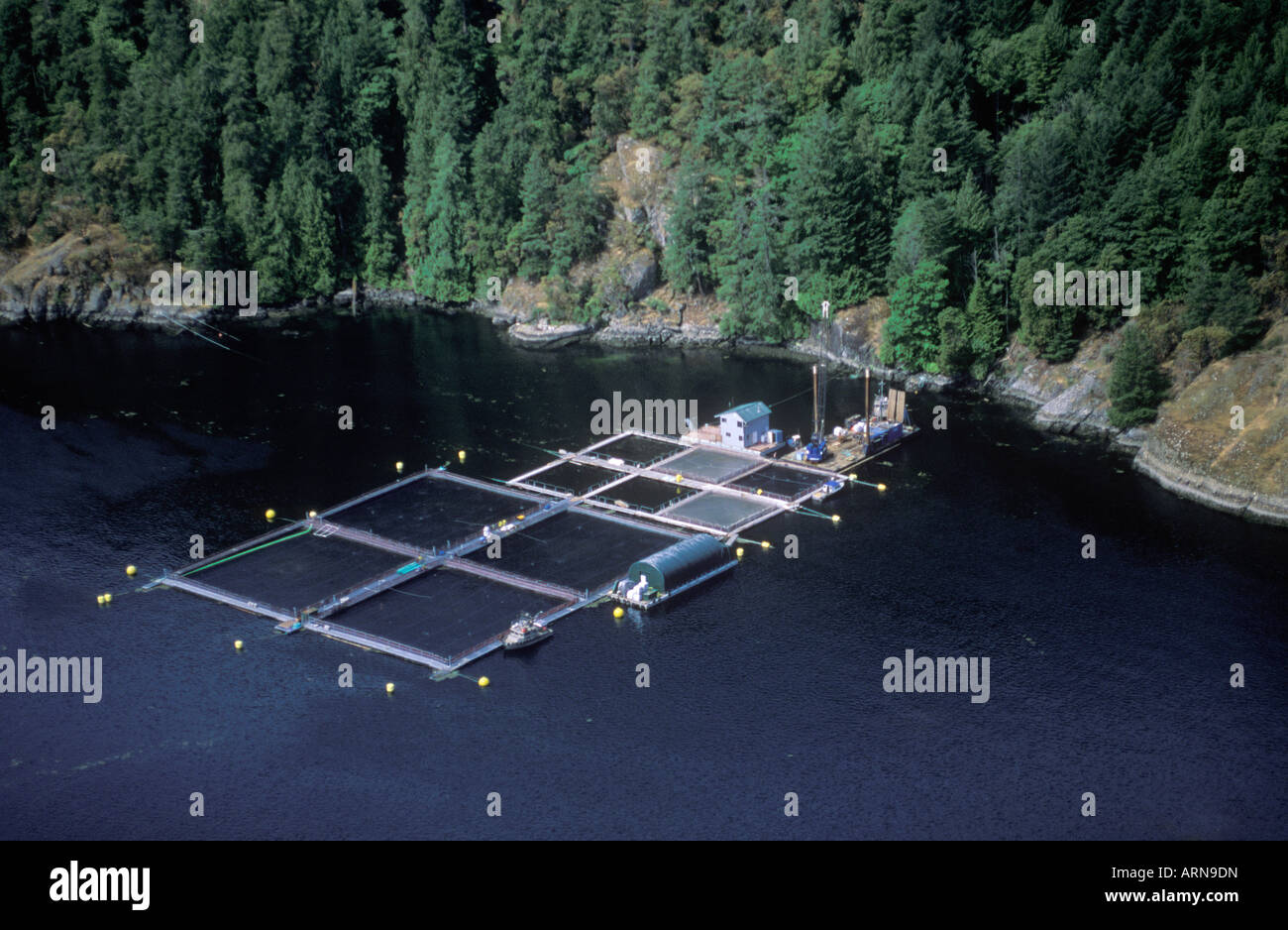 Broughton archipelago, atlantic salmon fish farm, Vancouver Island ...